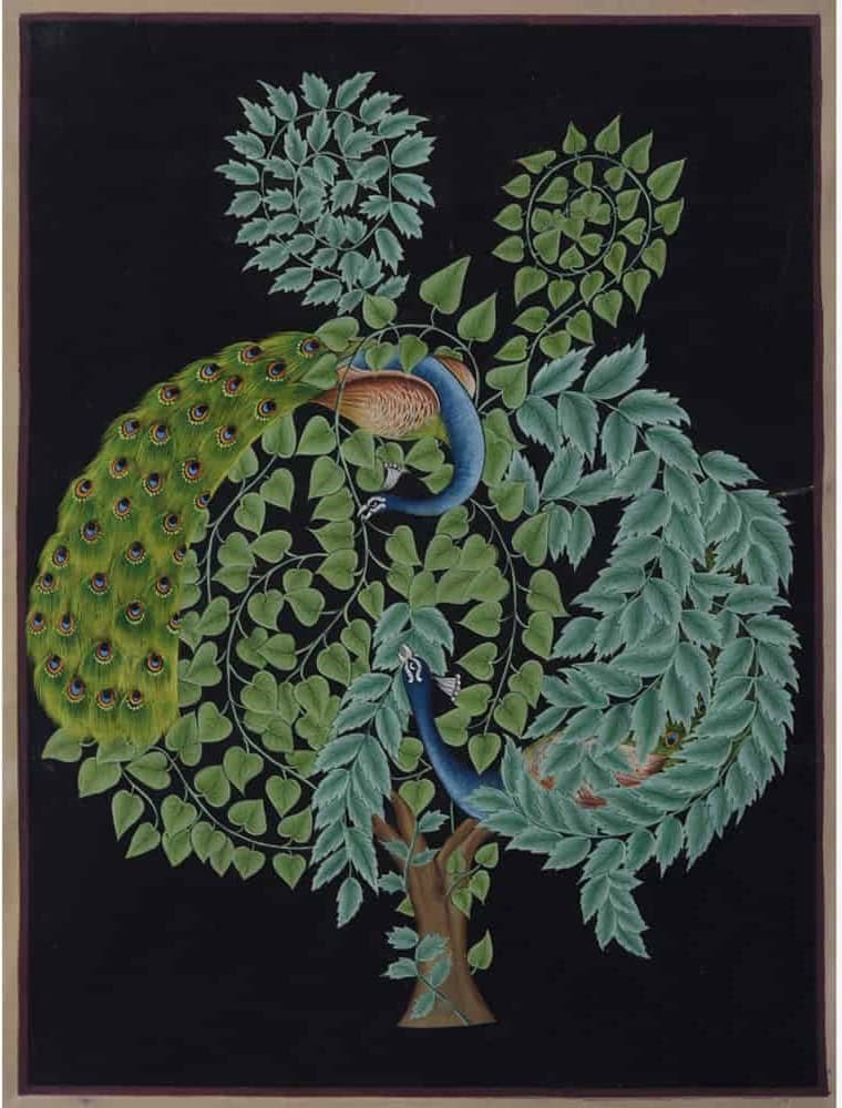 Exploring The Vibrant World Of Peacock Pichwai Art | Beyond Square